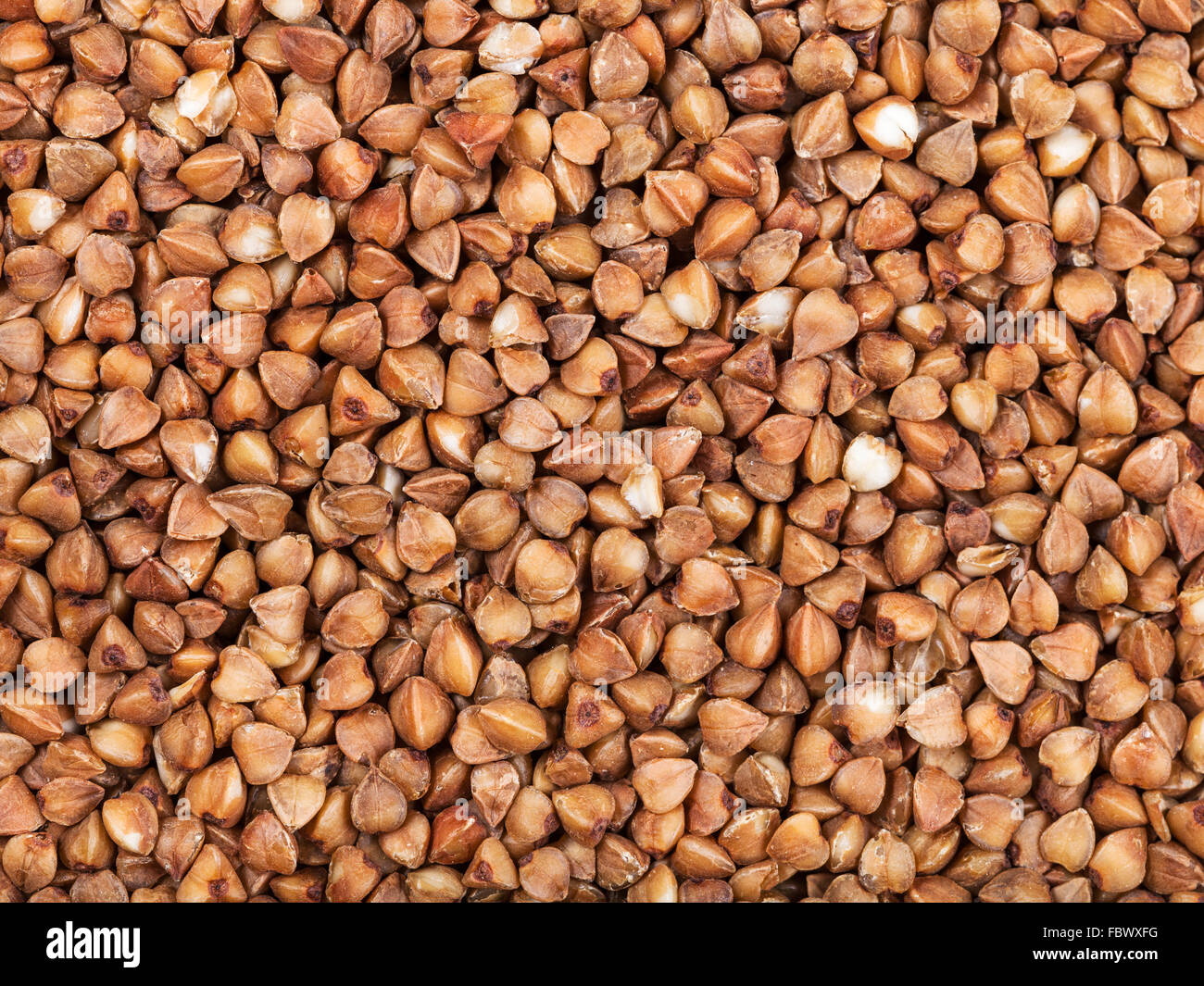 food background - raw brown buckwheat grain Stock Photo - Alamy