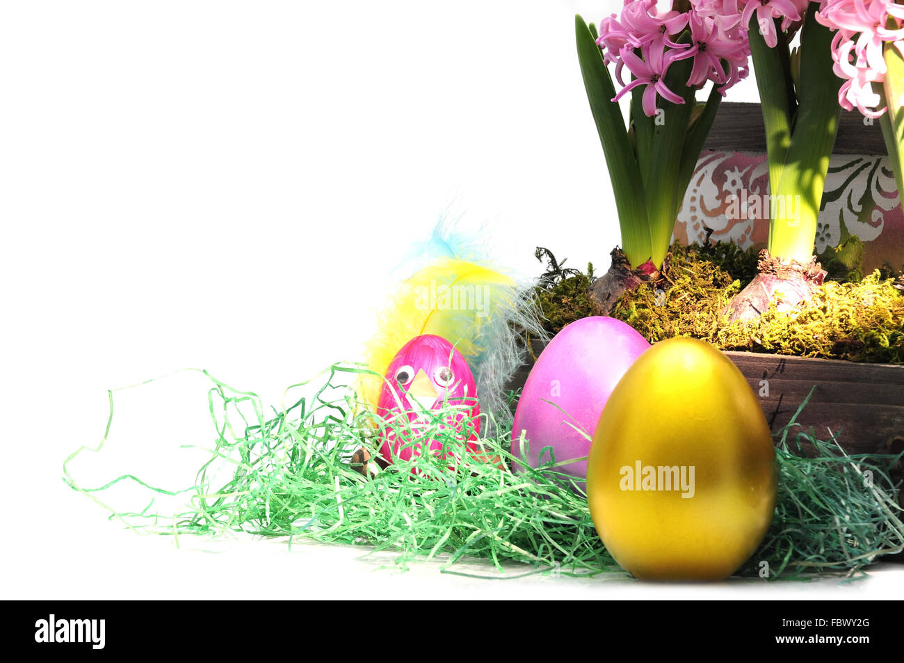 Hyacin hi-res stock photography and images - Alamy