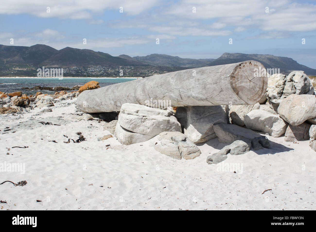 Tree trunk at the beach Stock Photo - Alamy