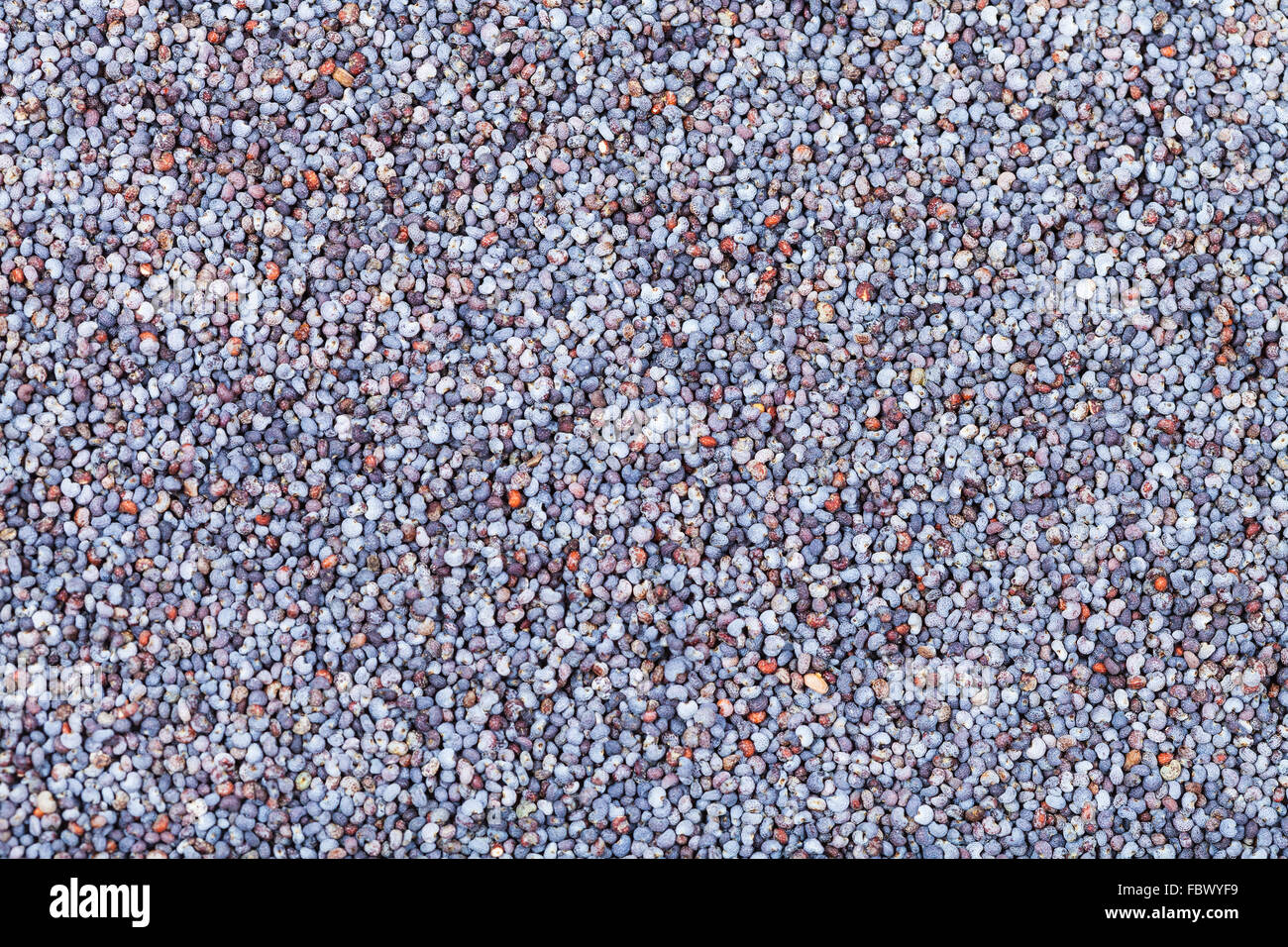 food background - many black poppy seeds Stock Photo - Alamy