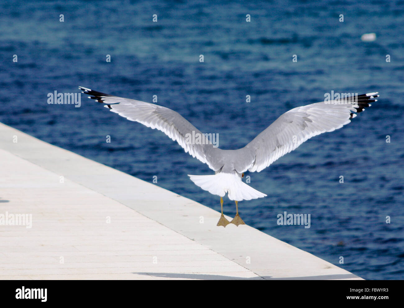 Back landing hi-res stock photography and images - Alamy