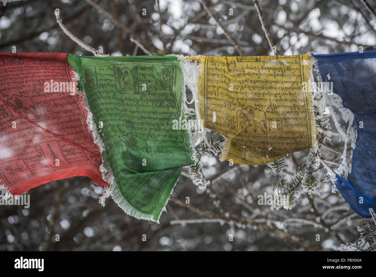 Frozen prayer flags hi-res stock photography and images - Alamy