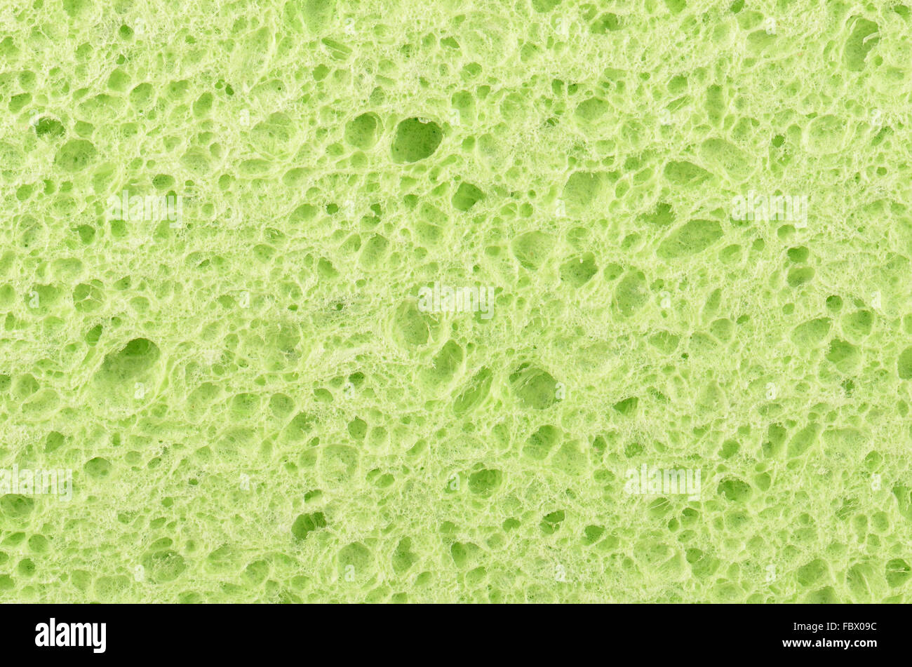 close up cellulose sponge background Stock Photo - Alamy