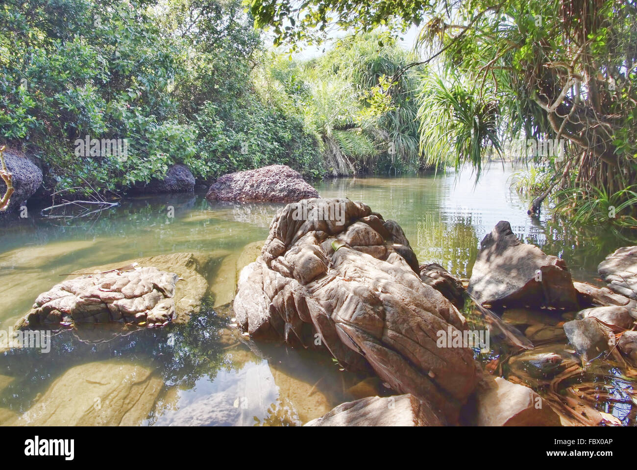 Goa scenery trees water hi-res stock photography and images - Alamy