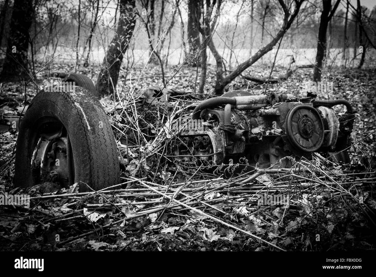 Car wreck in forest Stock Photo - Alamy