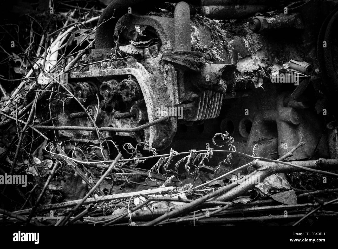 Car wreck in forest Stock Photo - Alamy