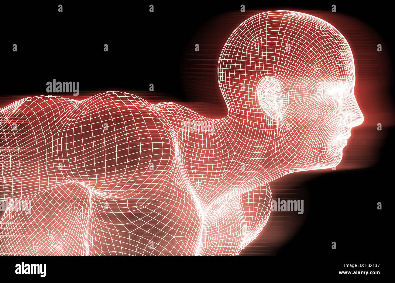 Human wireframe head and brain hi-res stock photography and images - Alamy