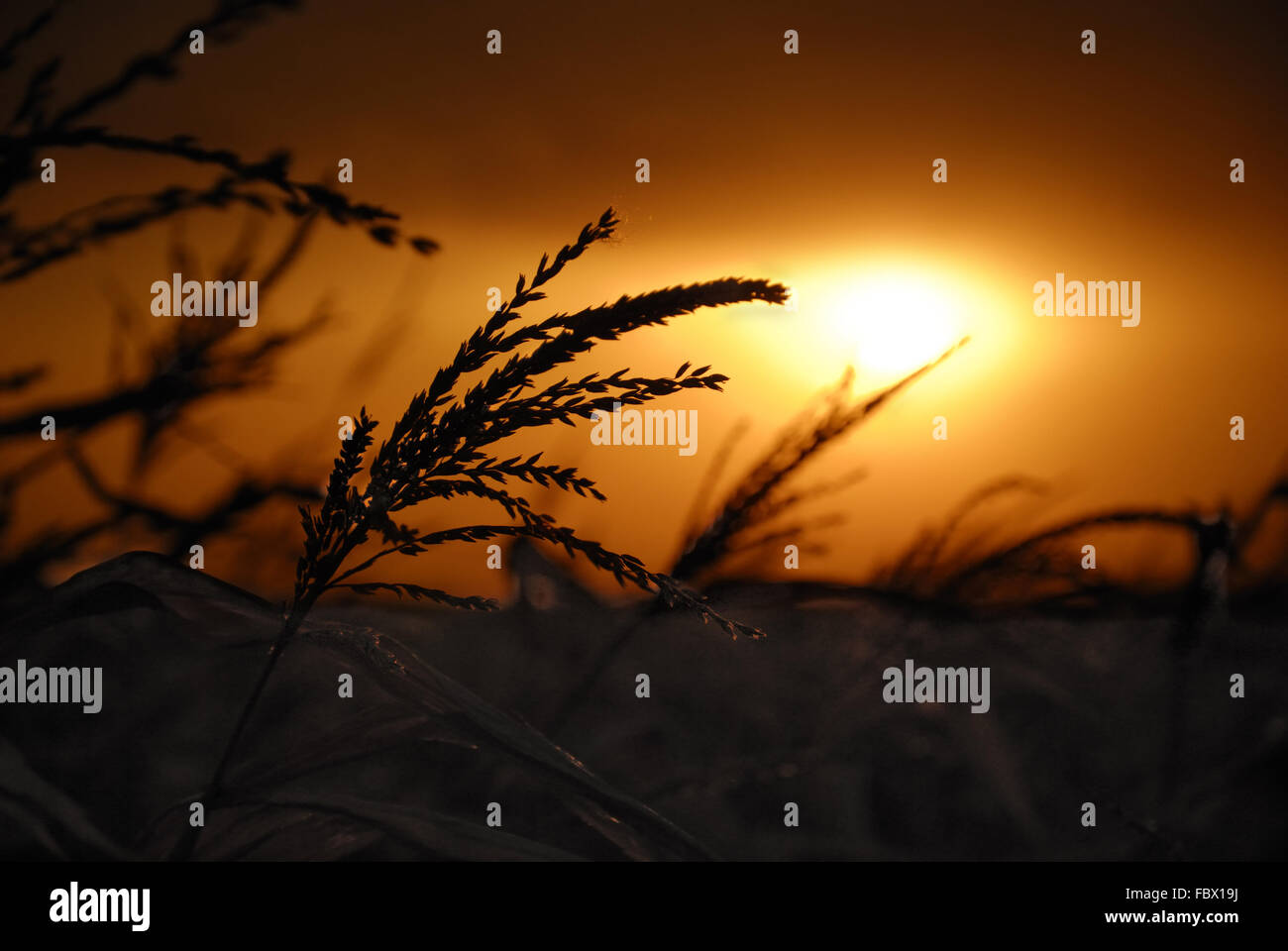 dramatic dark cloudy sunset Stock Photo - Alamy