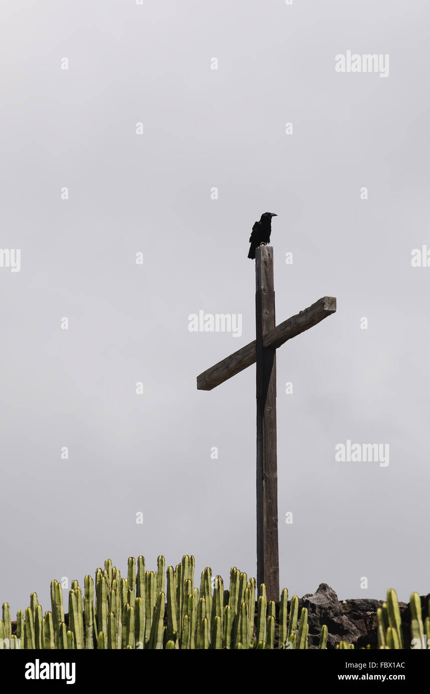 cross with a crow Stock Photo - Alamy