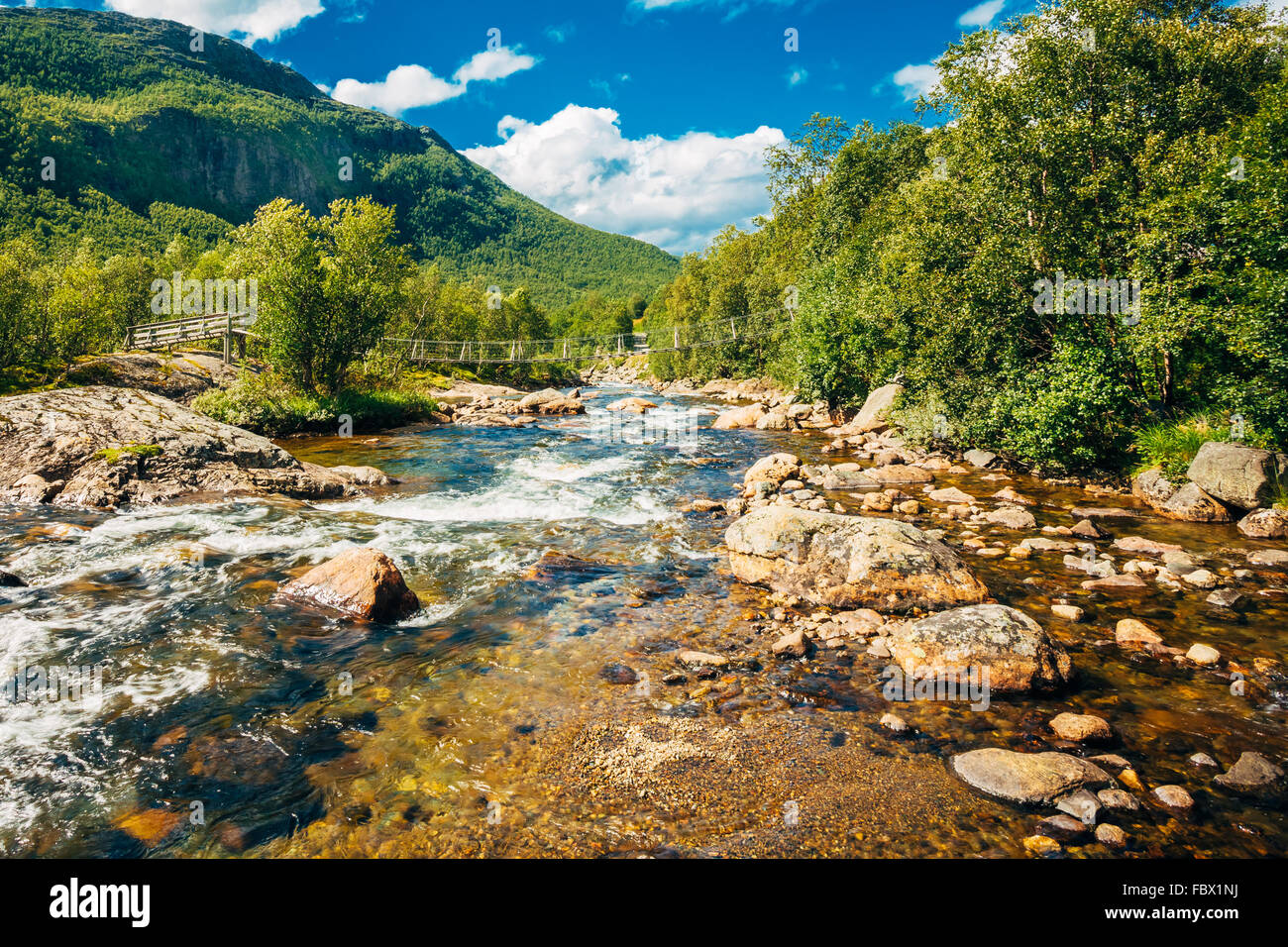 The mountain river in Norway. Flow transparent clean water goes around ...