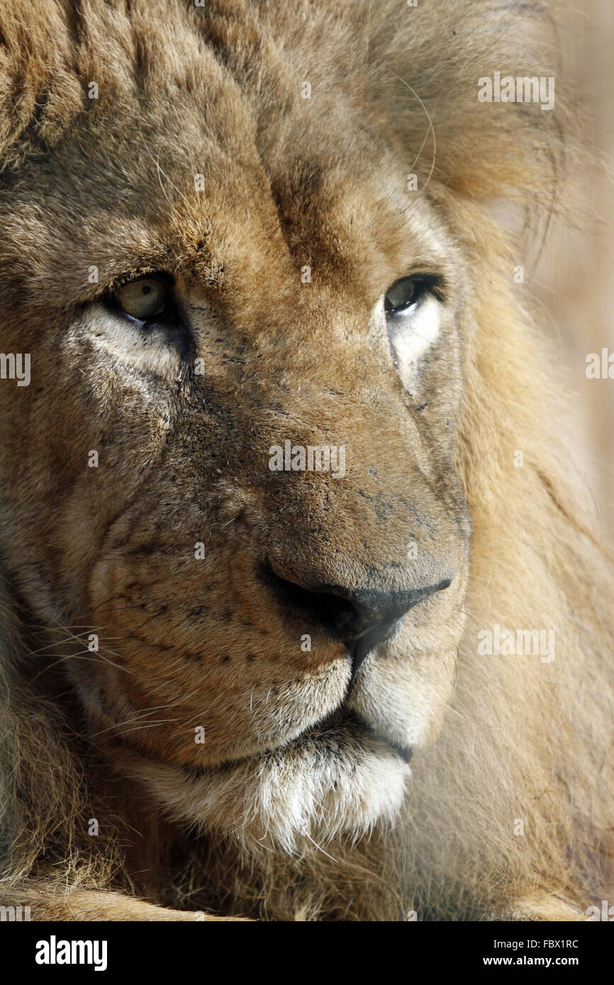 017 hi-res stock photography and images - Alamy