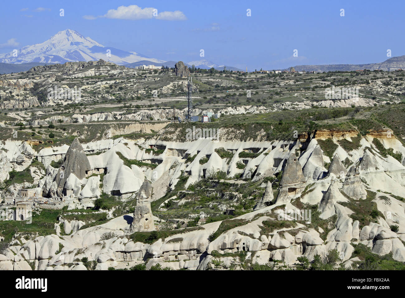 Land of the beautyful horses hi-res stock photography and images - Alamy