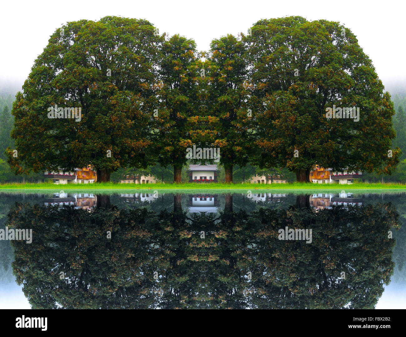 Trees mirrored hi-res stock photography and images - Alamy