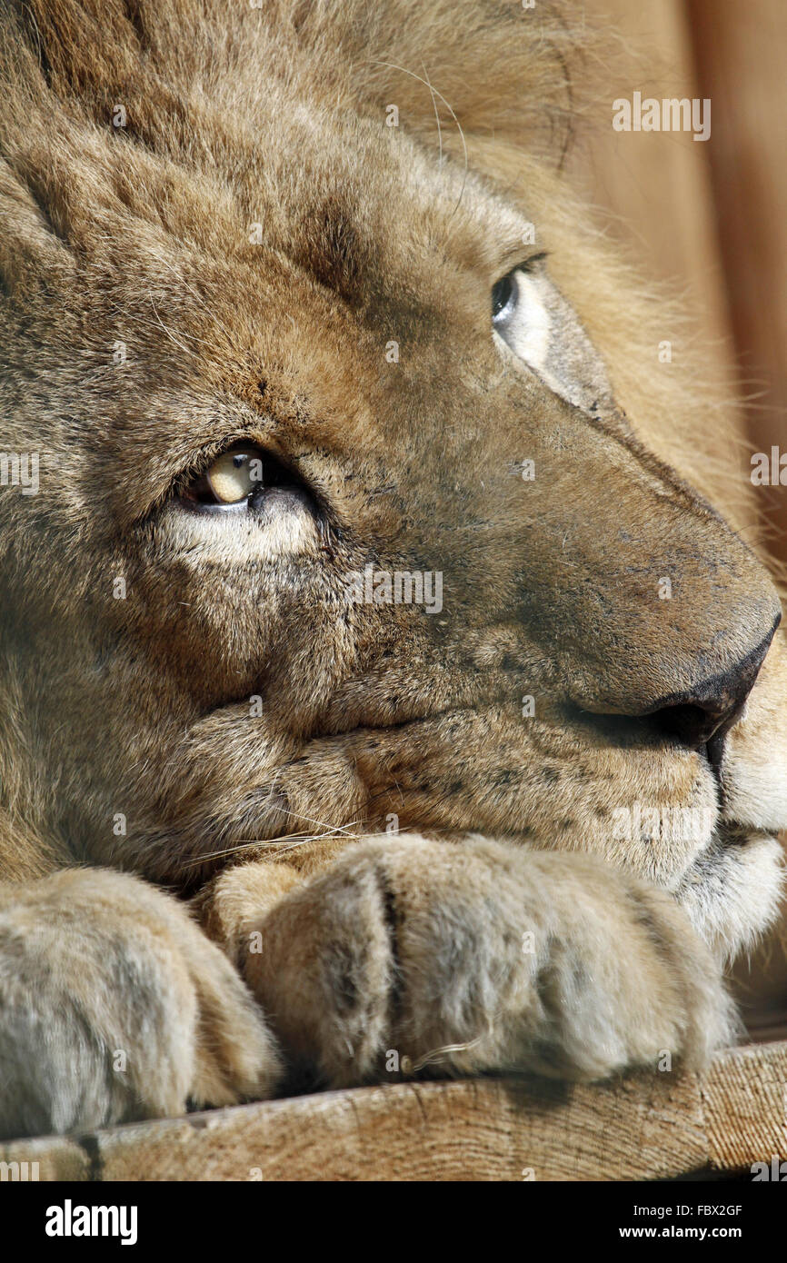 014 hi-res stock photography and images - Alamy