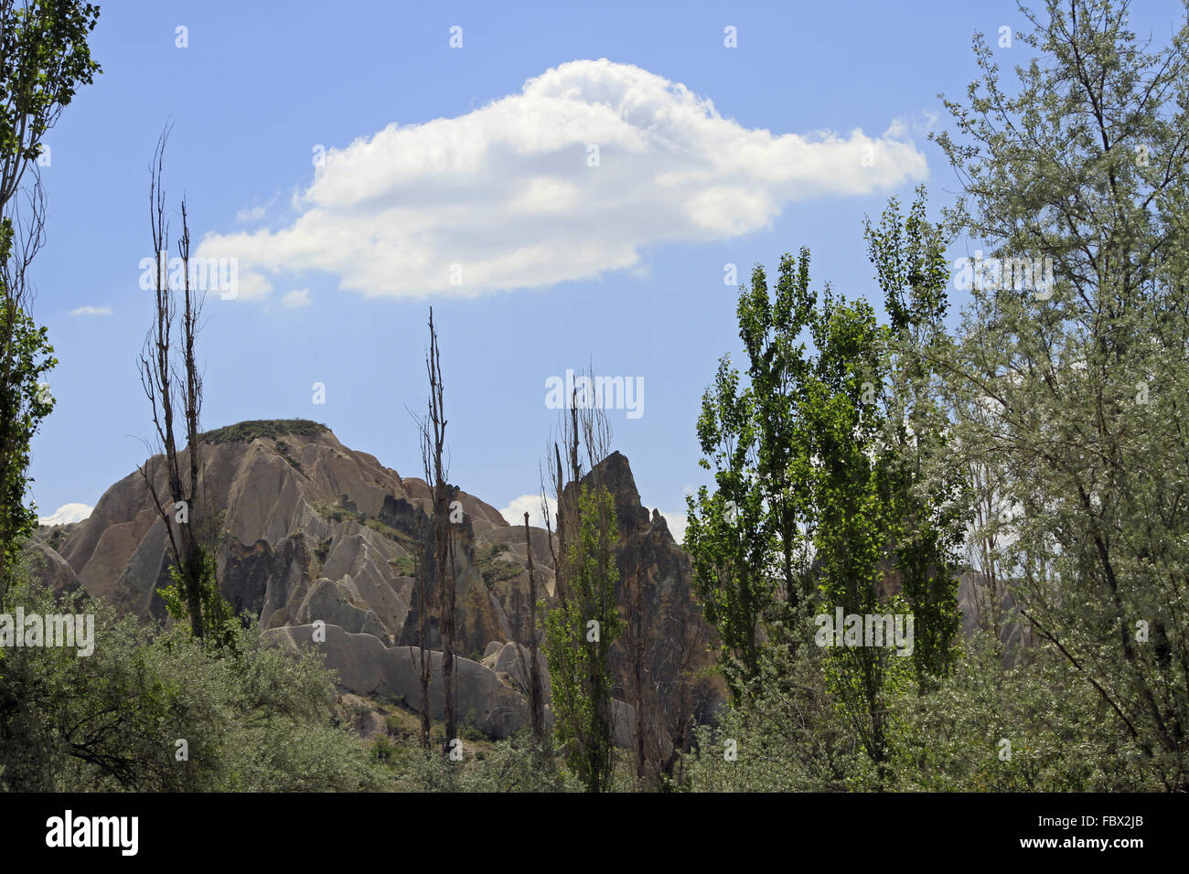 Land Of The Beautyful Horses High Resolution Stock Photography and ...