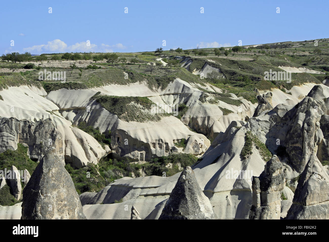 Land of the beautyful horses hi-res stock photography and images - Alamy