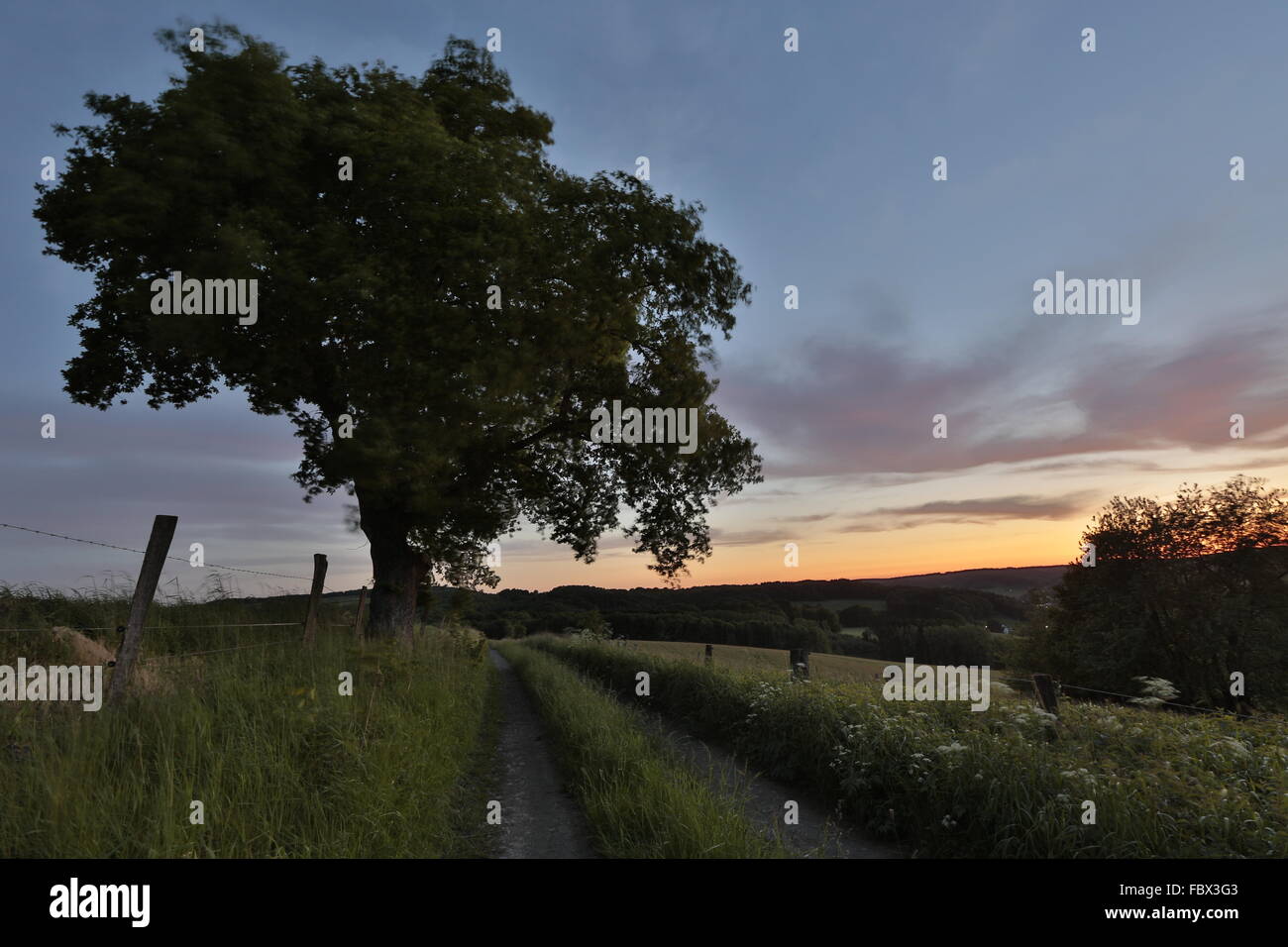 Wiese sunset hi-res stock photography and images - Alamy