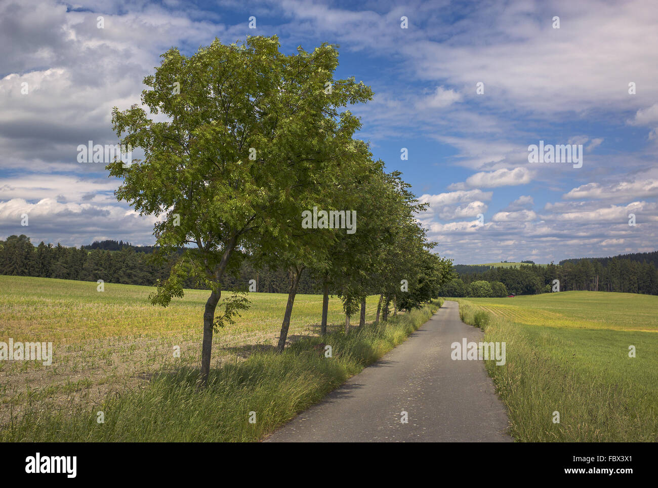 Thueringische hi-res stock photography and images - Alamy