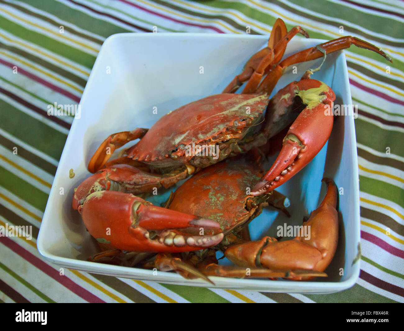 Steamed Crabs High Resolution Stock Photography and Images - Alamy