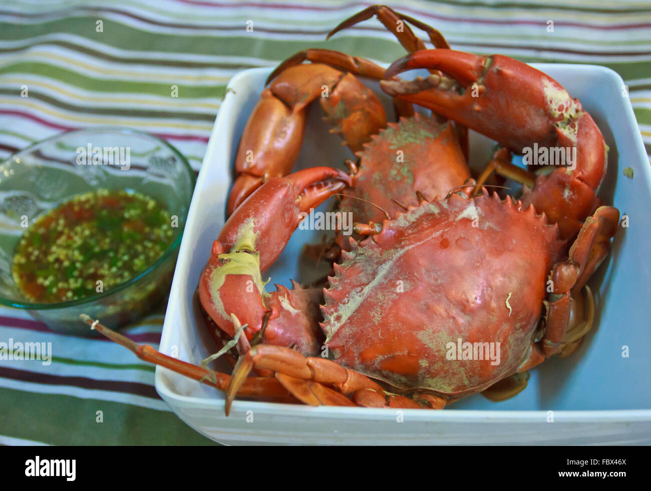 Hardshell crabs hi-res stock photography and images - Alamy