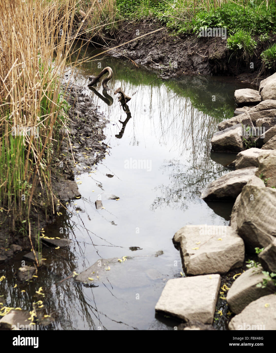 Brook little hi-res stock photography and images - Alamy
