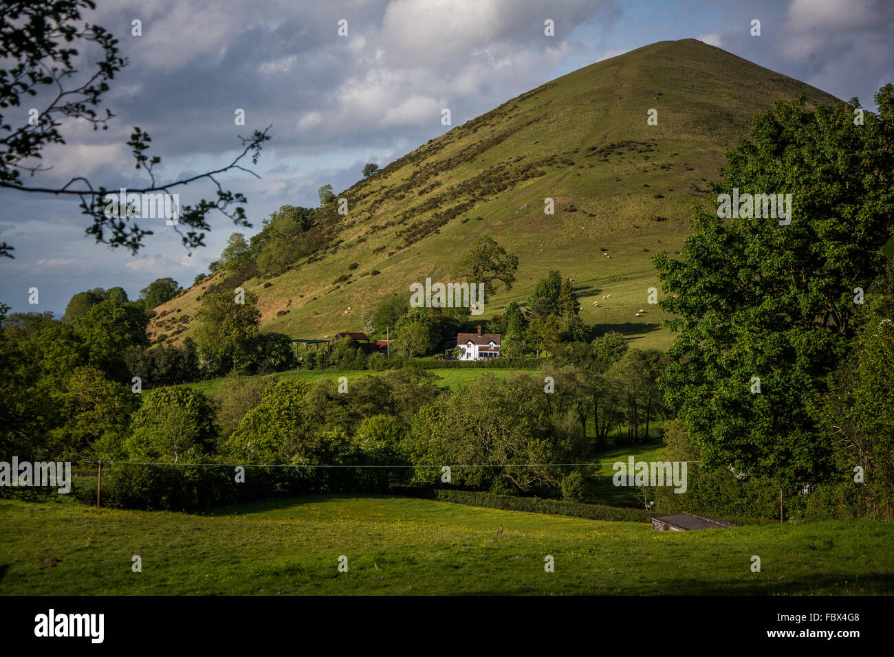 Big mound hill in the Stretton Hills, Shropshire, England Stock Photo ...