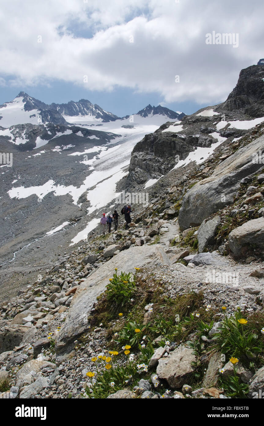 Hiking in the Silvretta Stock Photo - Alamy