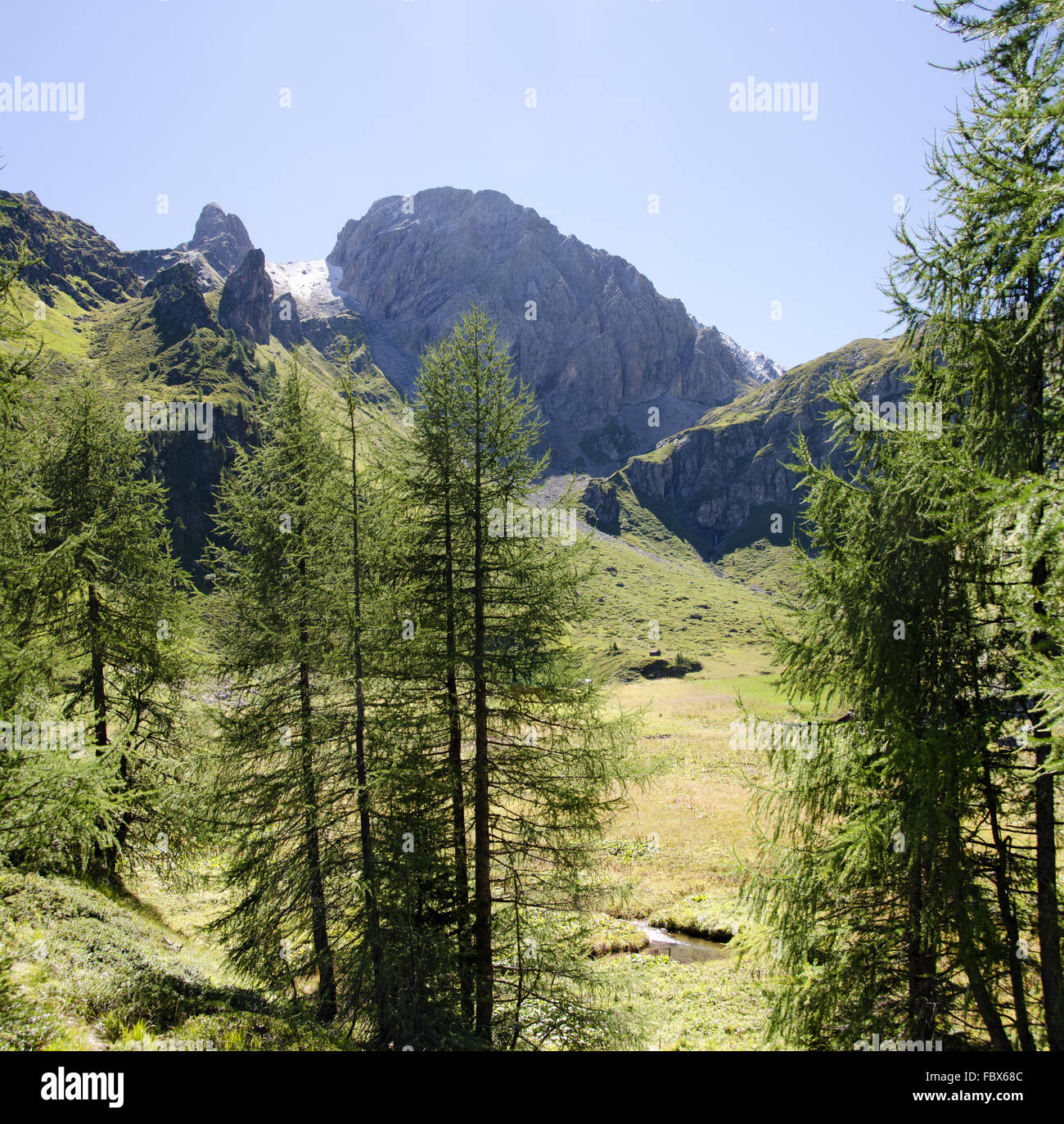 Soils hi-res stock photography and images - Alamy