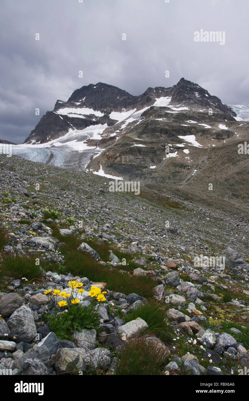 Piz Buin - Silvretta Main Ridge Stock Photo - Alamy