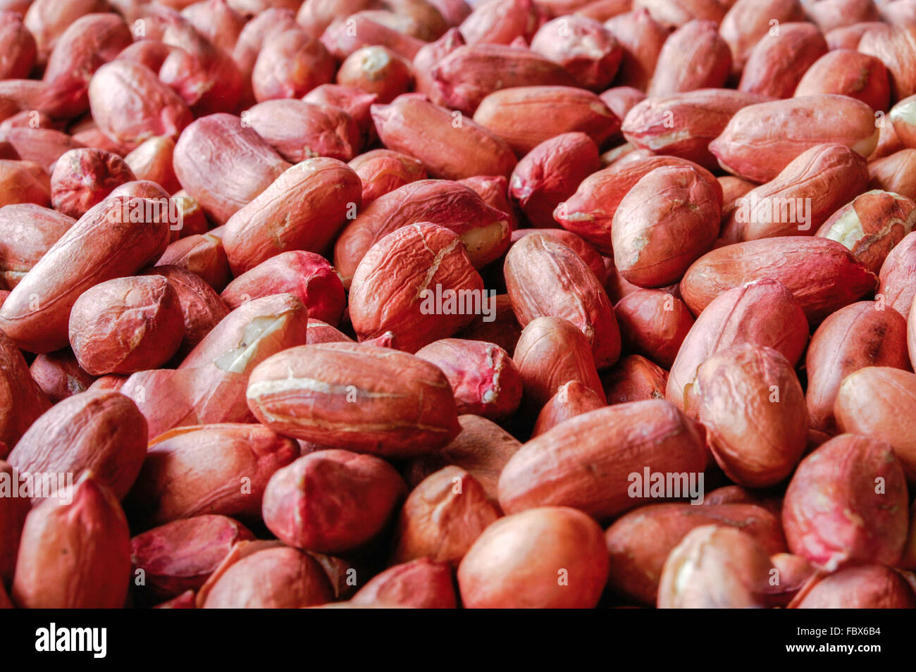 Peanut red background Stock Photo - Alamy