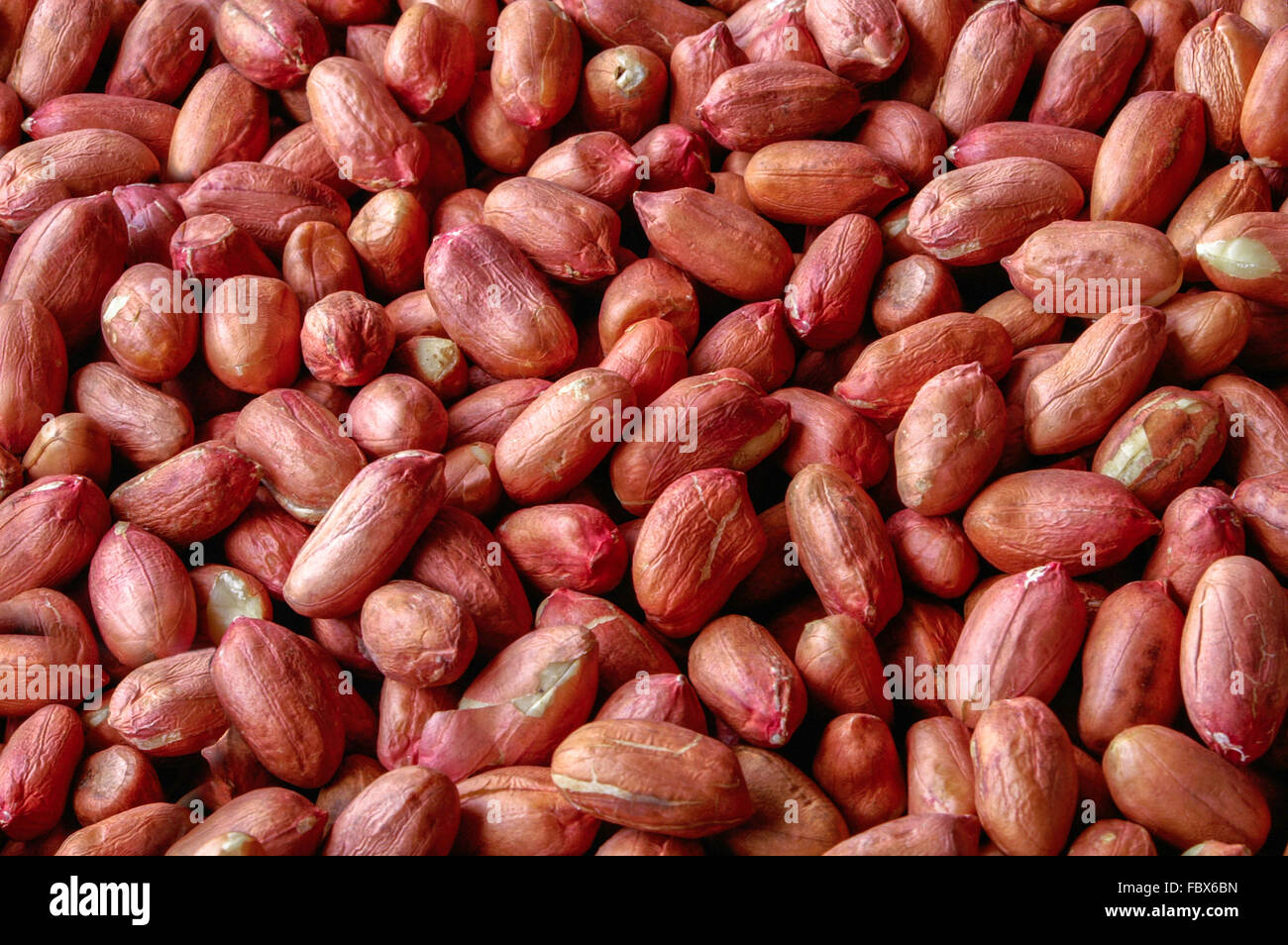 Peanut red background Stock Photo - Alamy