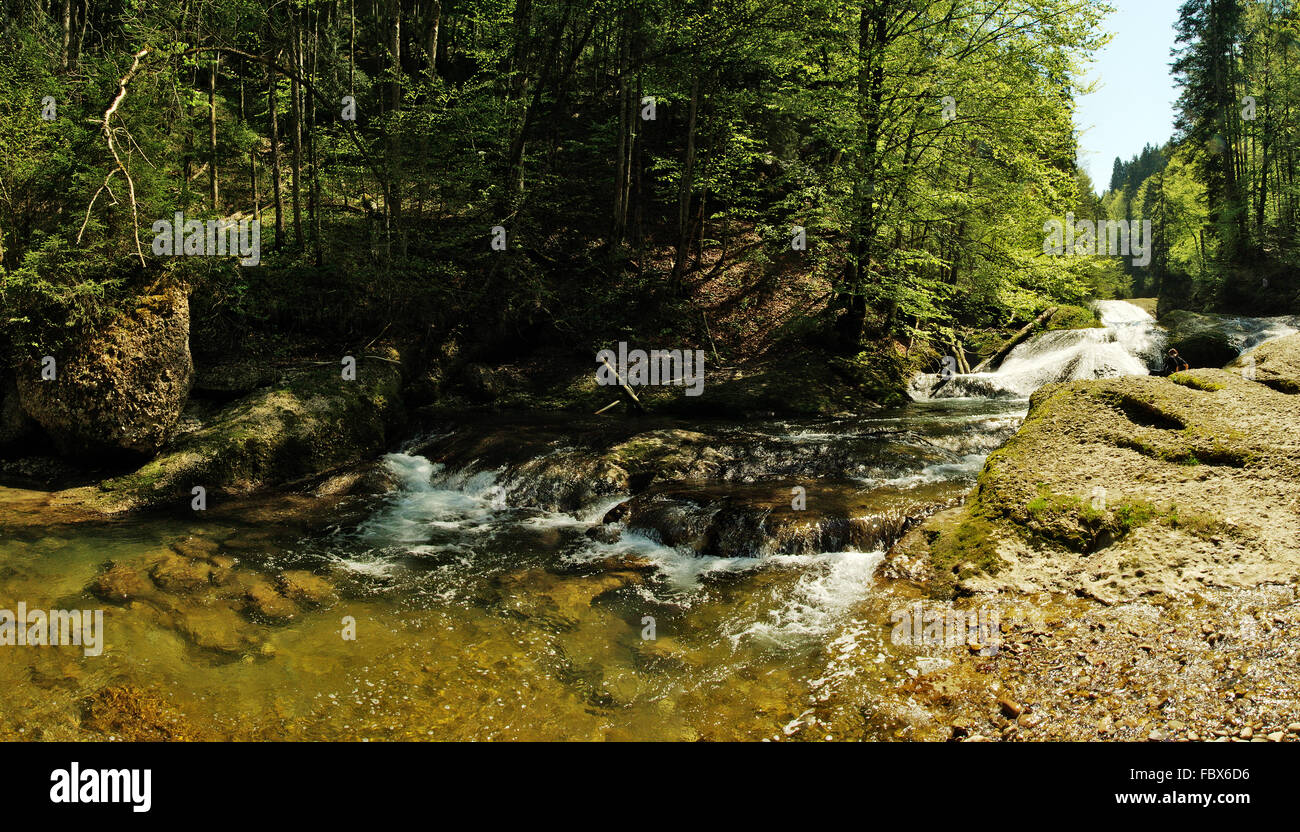 Gorge like wooded valley hi-res stock photography and images - Alamy