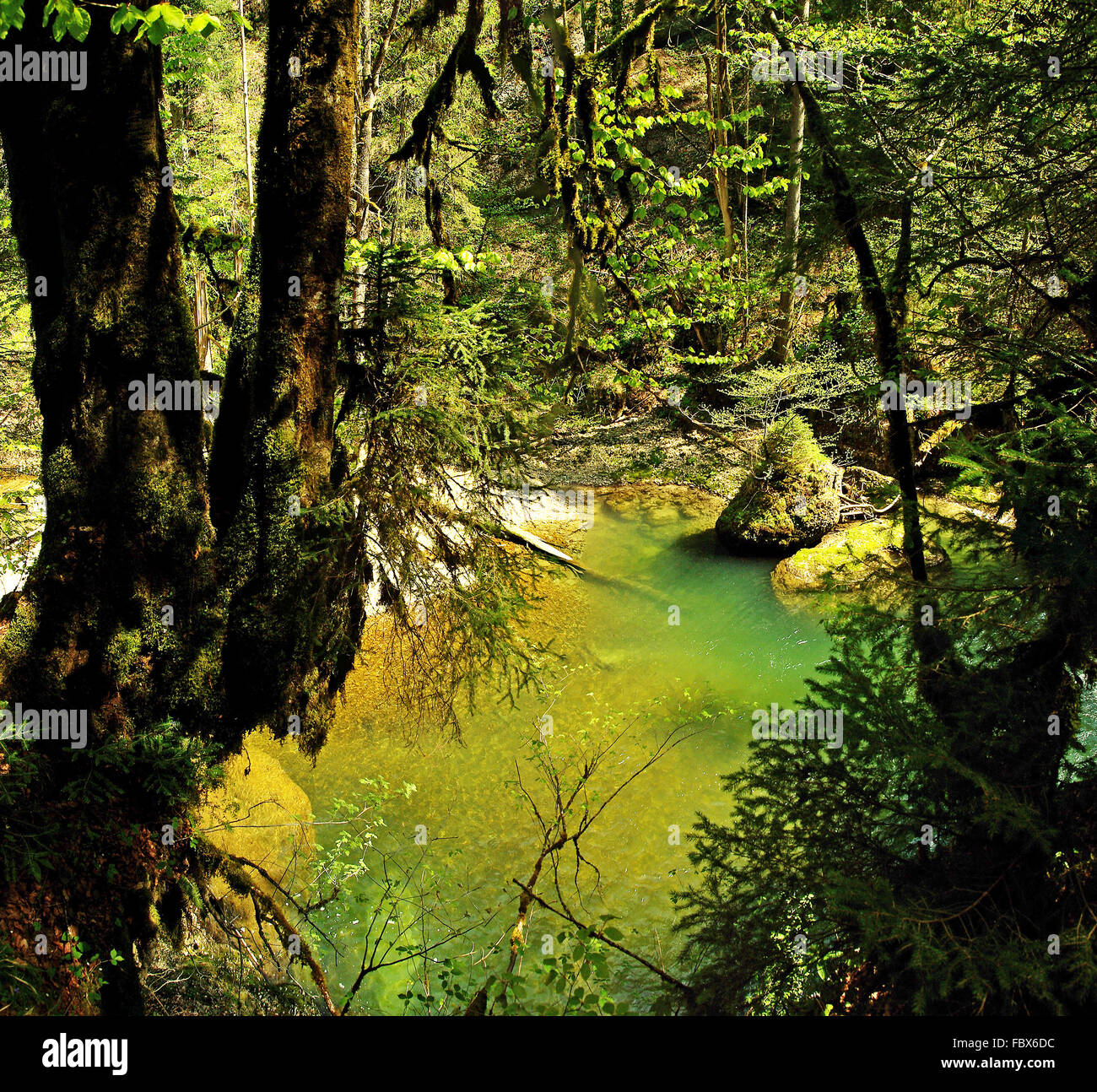 Pools - The ΓÇ£ArgenΓÇ¥ - Ice Ravine Stock Photo - Alamy