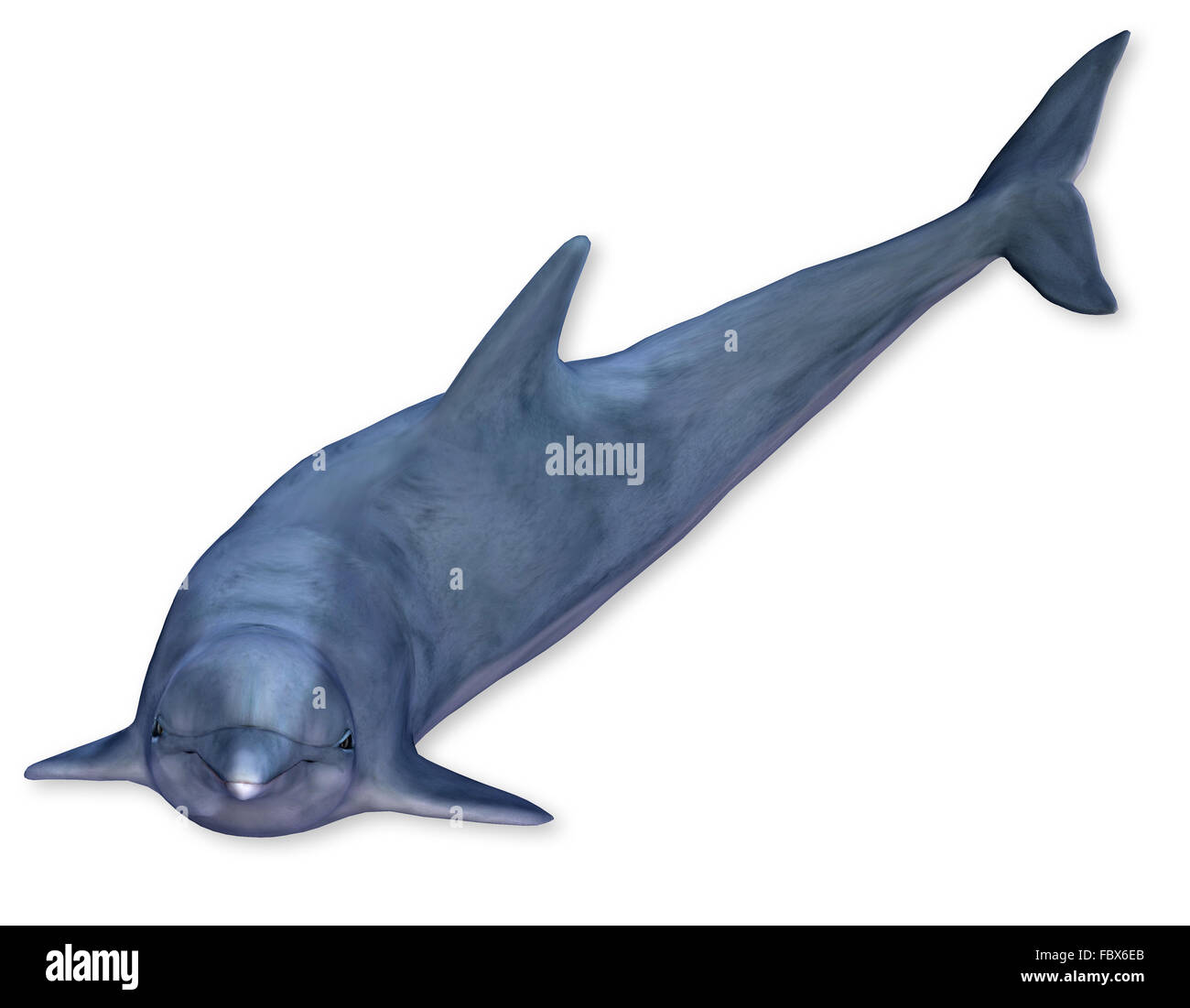 Illustration of a dolphin Stock Photo - Alamy