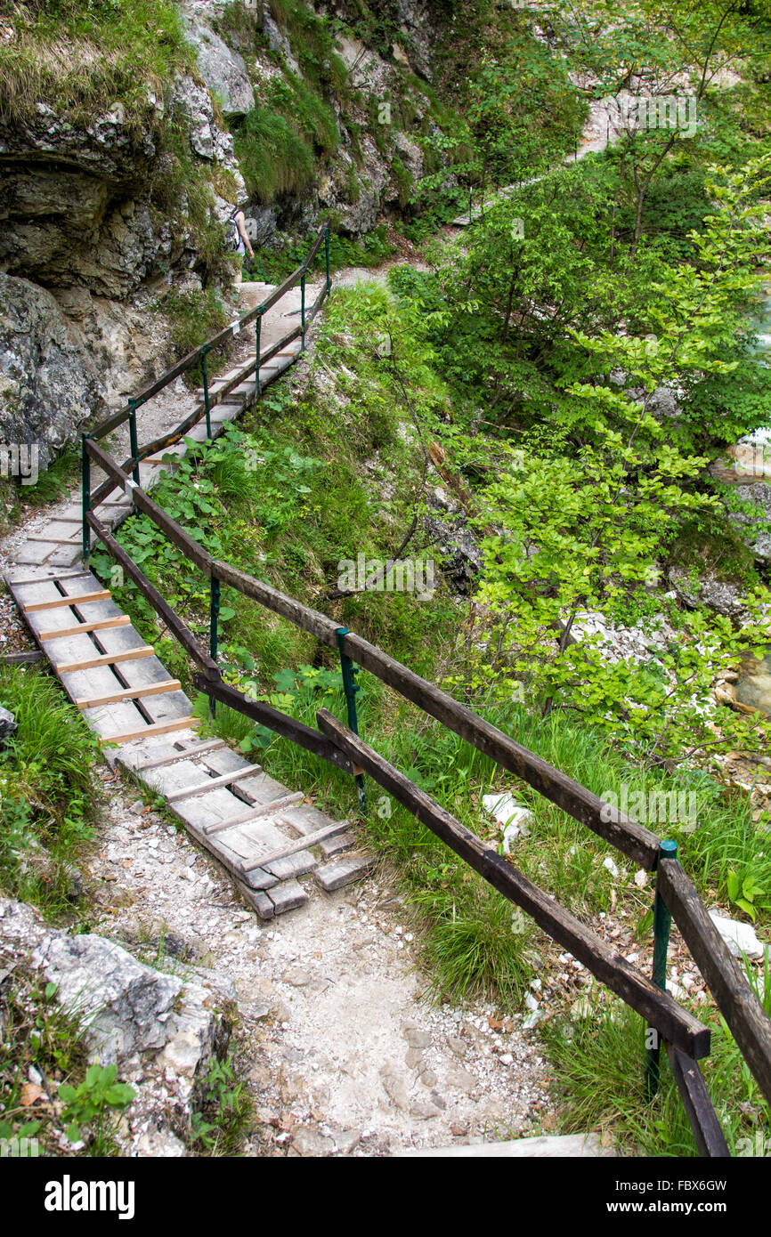 Pathway in the alps hi-res stock photography and images - Alamy
