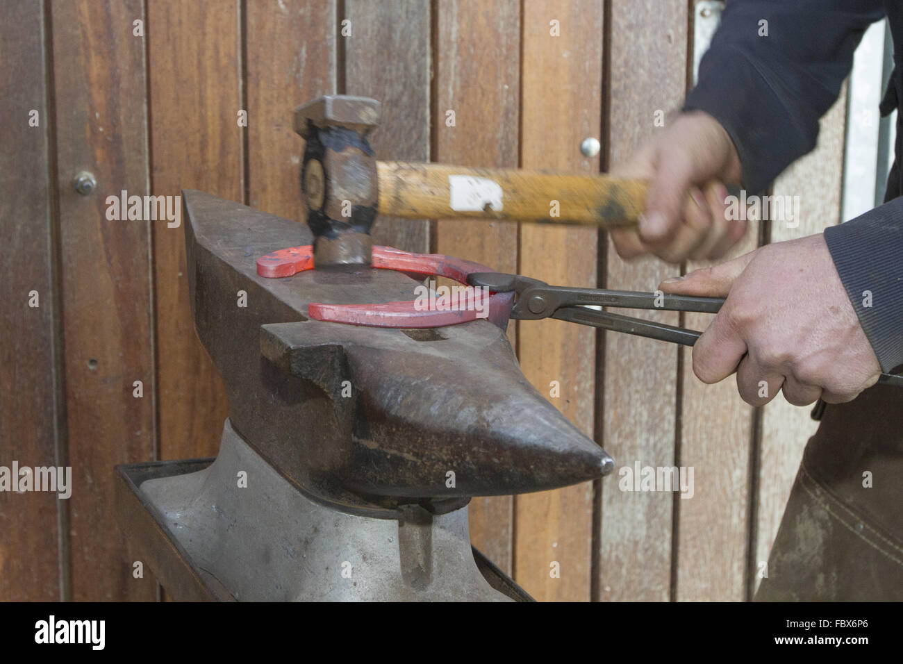 Farrier hi-res stock photography and images - Alamy