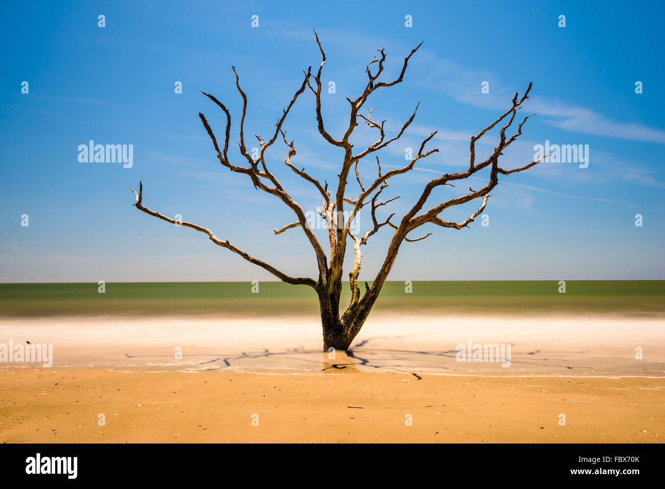 Botany bay hi-res stock photography and images - Alamy
