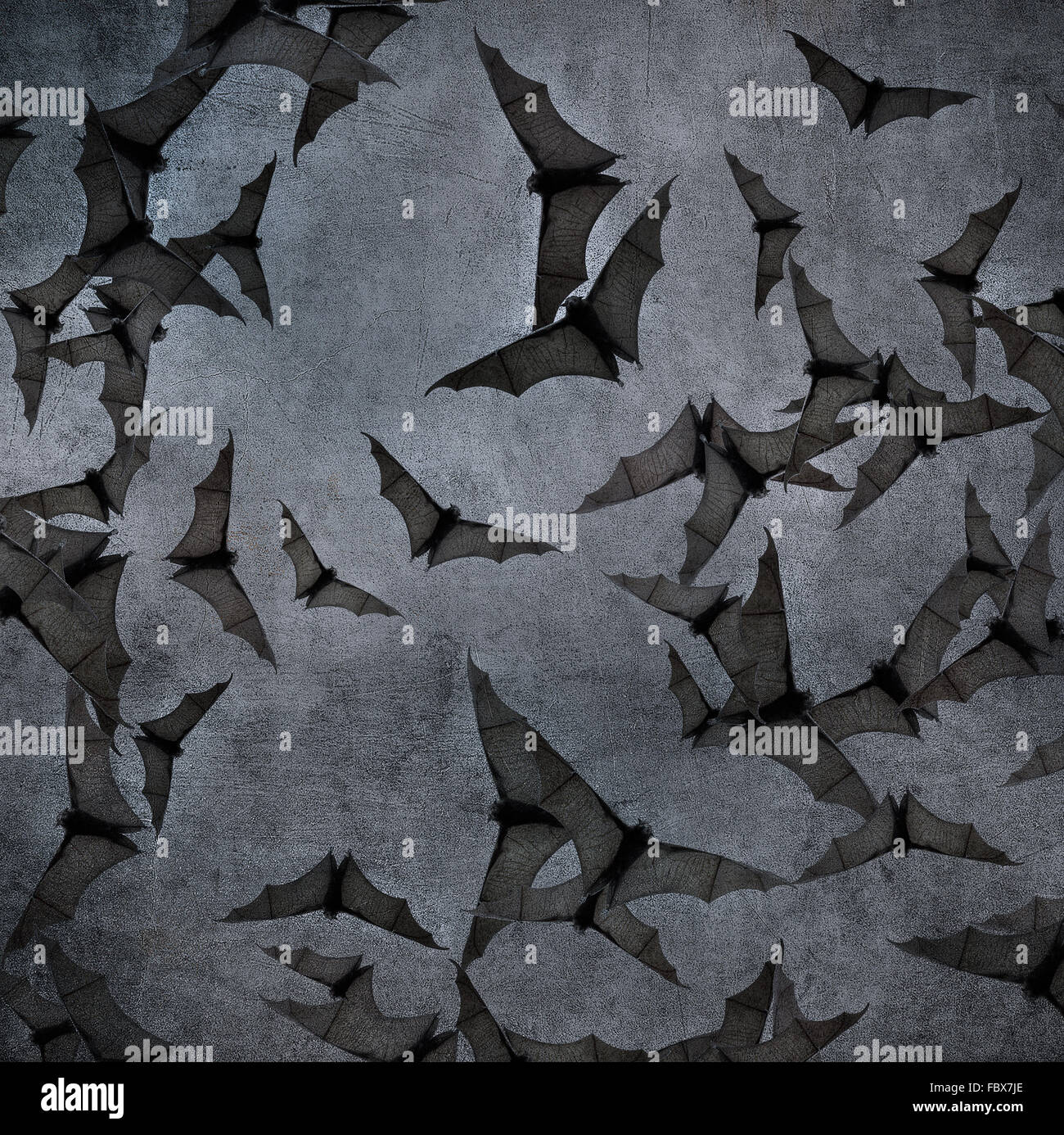 bats in the dark cloudy sky, perfect halloween background Stock Photo ...