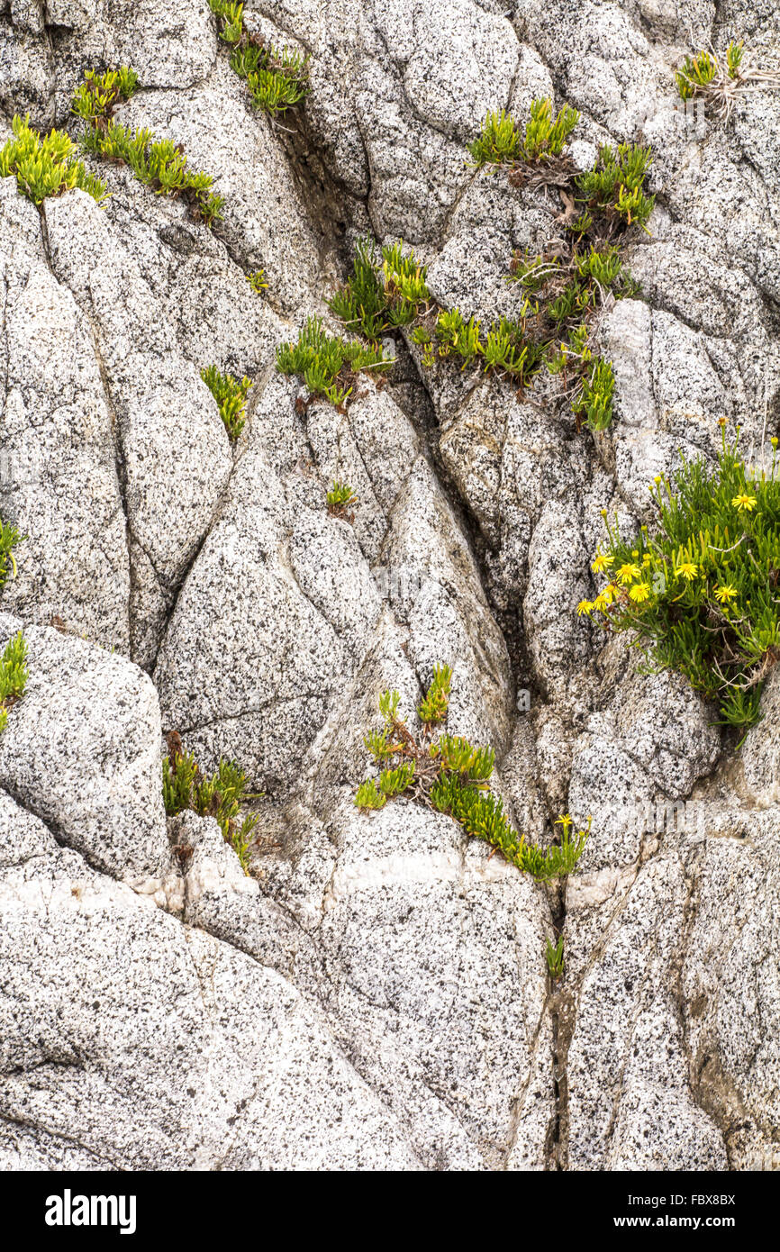 Cracking rock hi-res stock photography and images - Alamy Cracking rock hi-res stock photography and images - Alamy