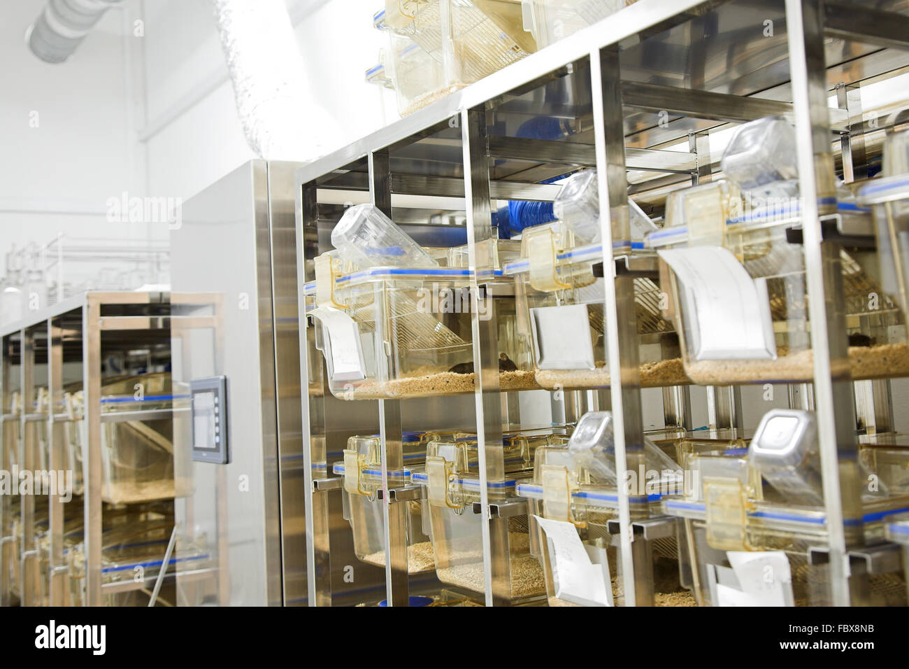 Laboratory rat cages hi-res stock photography and images - Alamy