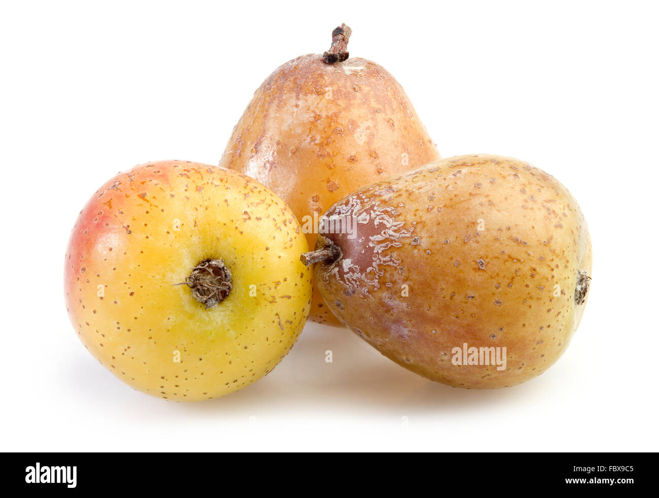 Sorb hi-res stock photography and images - Alamy