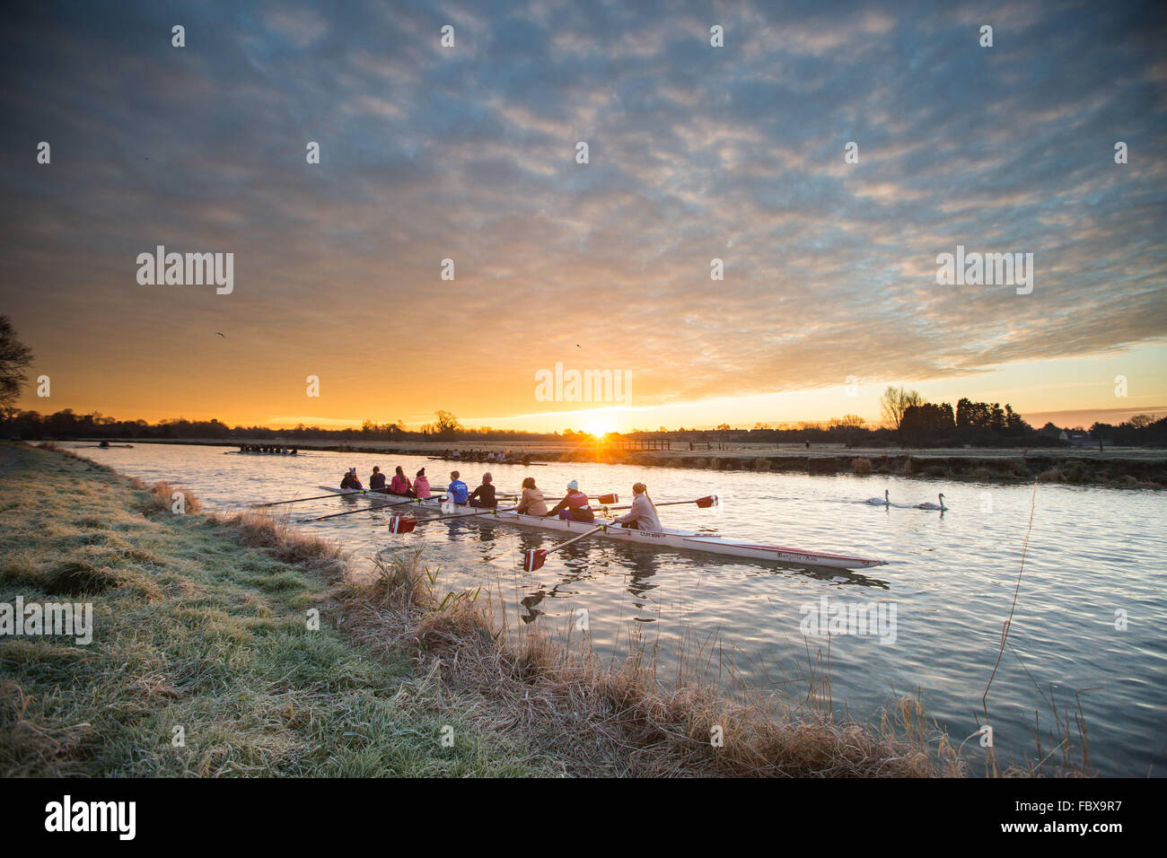 Cambridge University student rowers on the River Cam at sunrise Stock ...