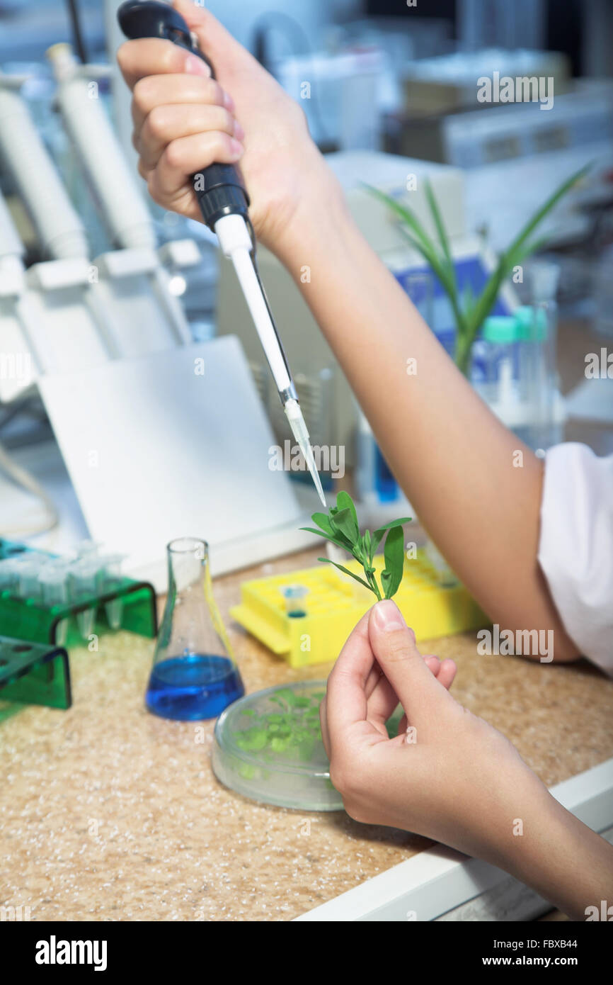 Laboratory test hi-res stock photography and images - Alamy