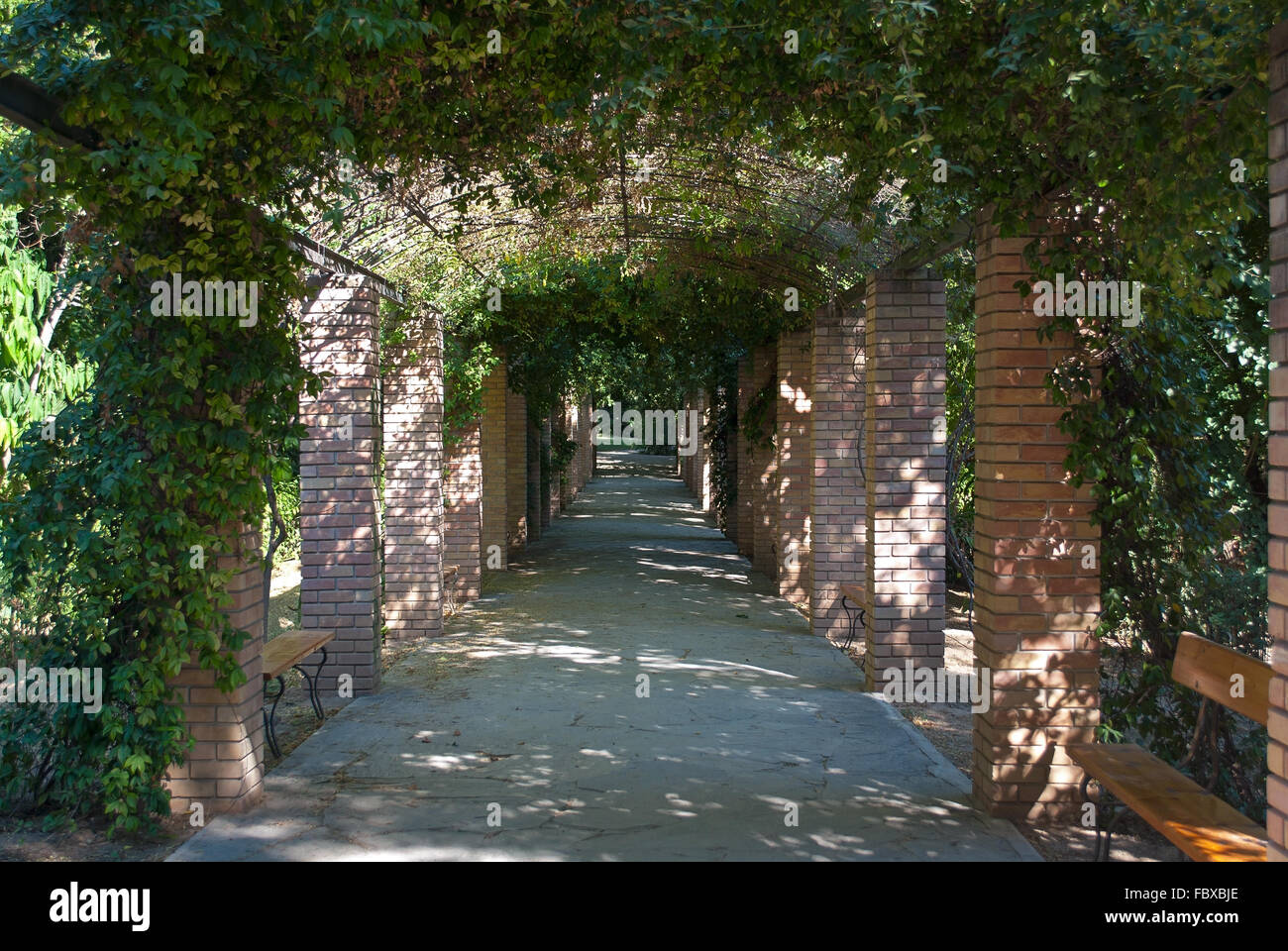 Shady track hi-res stock photography and images - Alamy