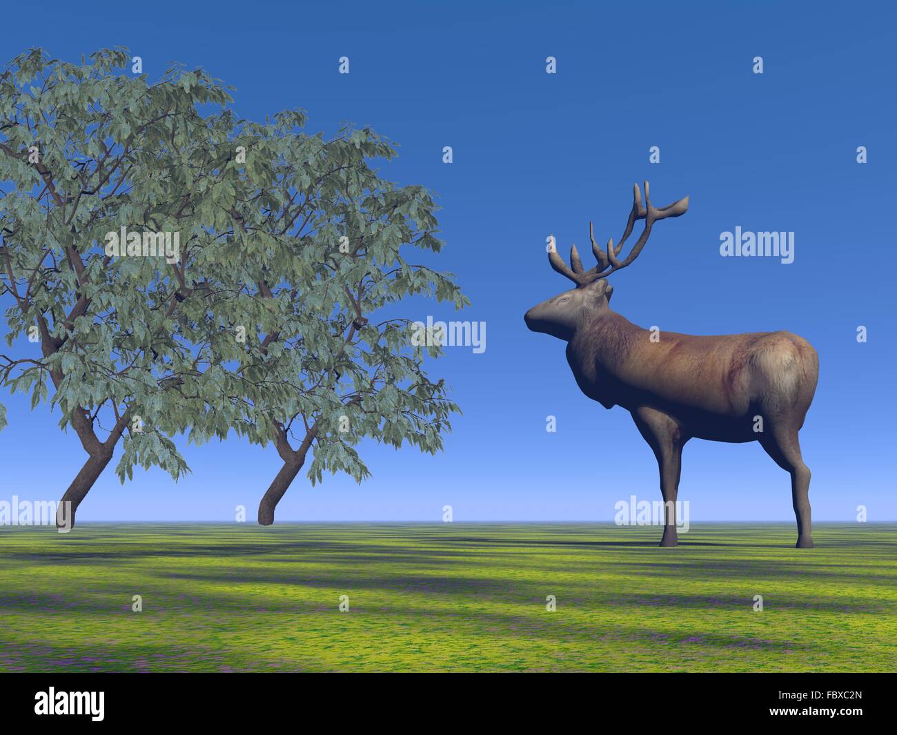 Deer trees hi-res stock photography and images - Alamy