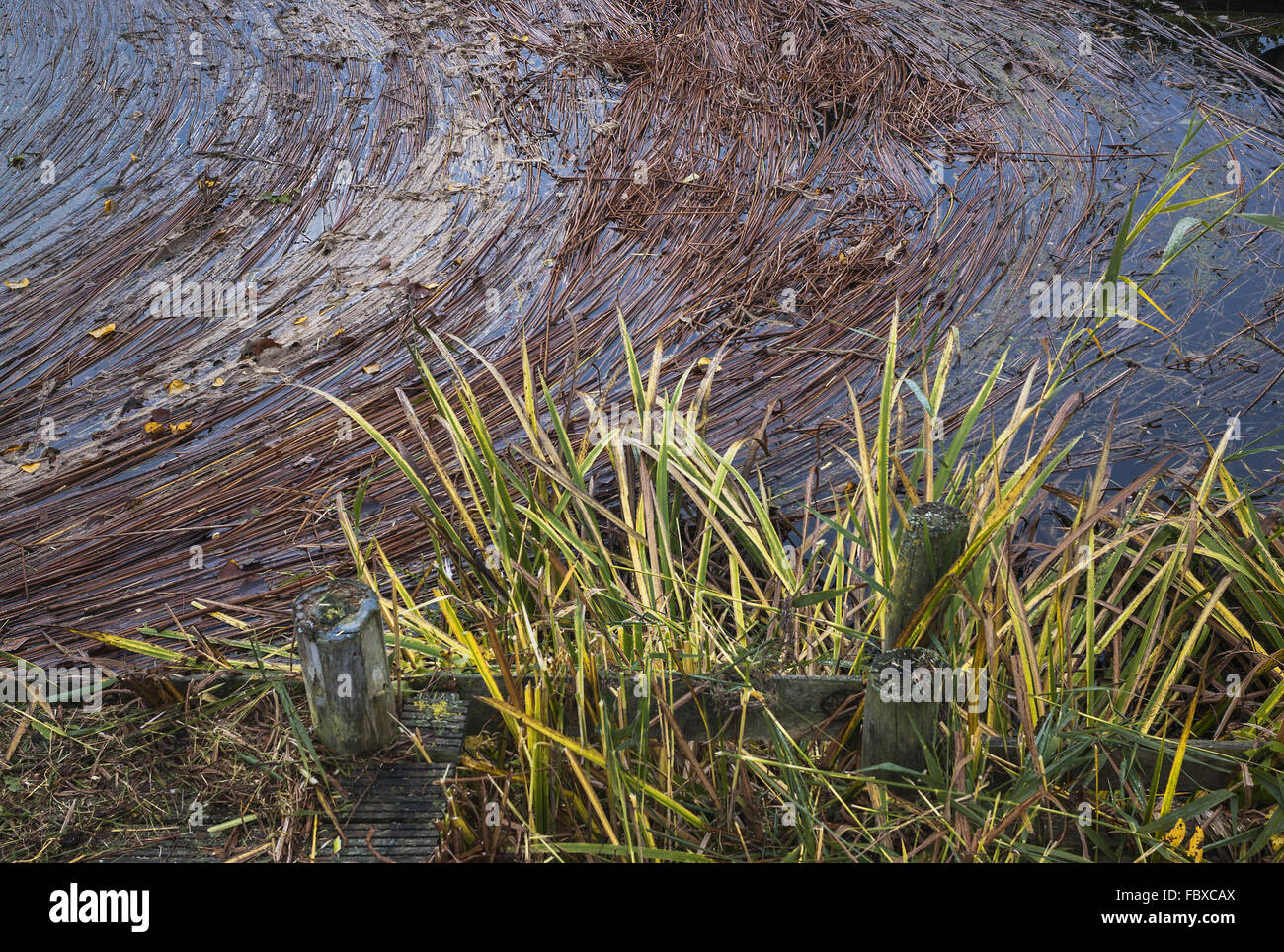 Alluvial island hi-res stock photography and images - Alamy