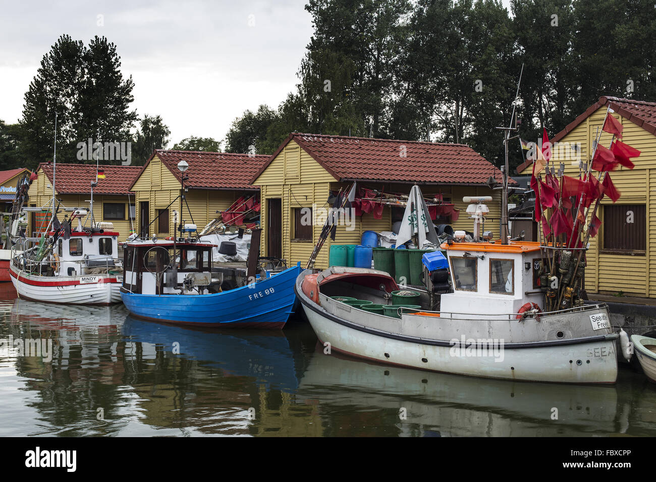 Freest hi-res stock photography and images - Alamy