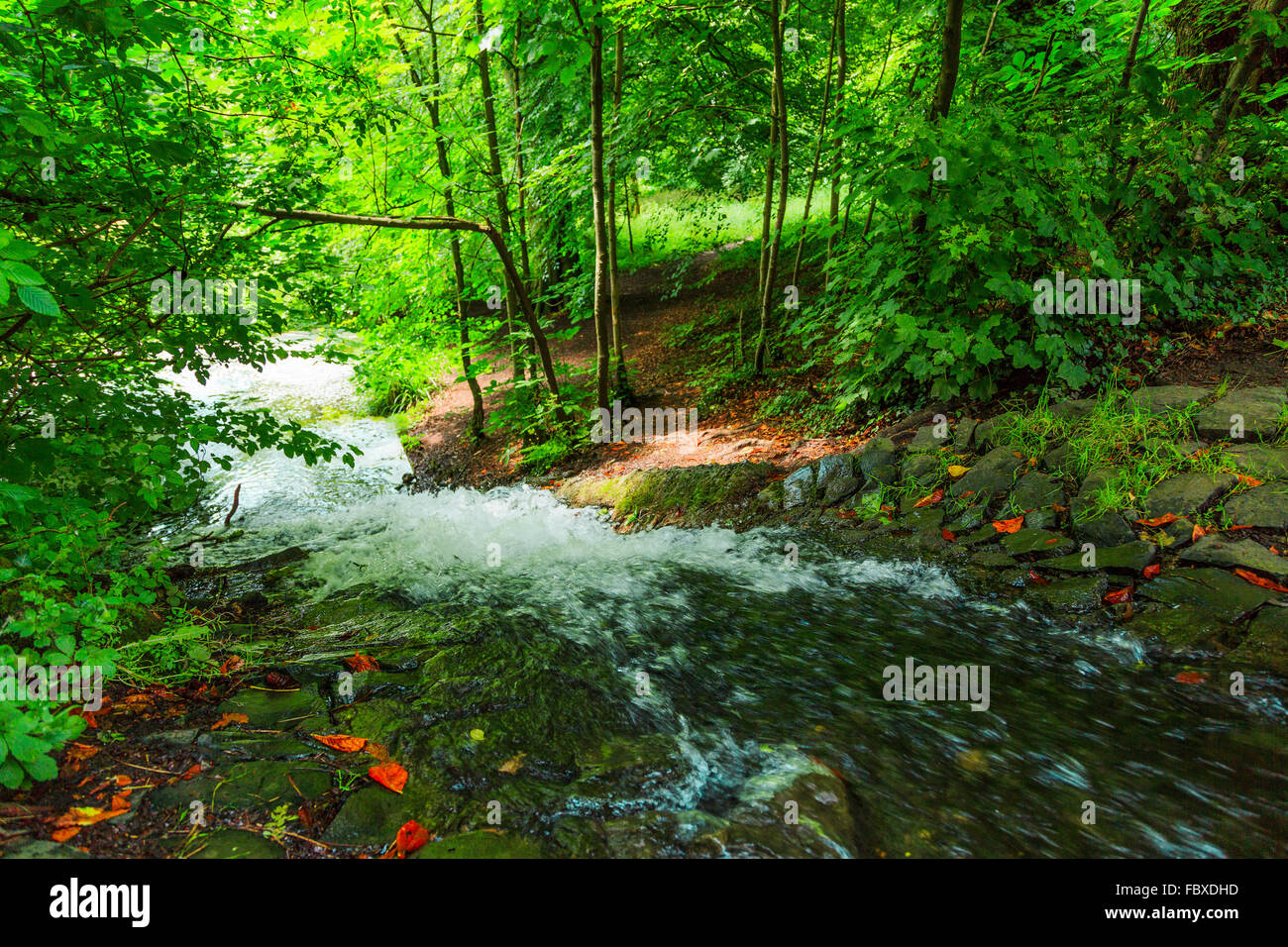 A stream waterfall at Himley hall and Park, Dudley, west Midlands, UK ...