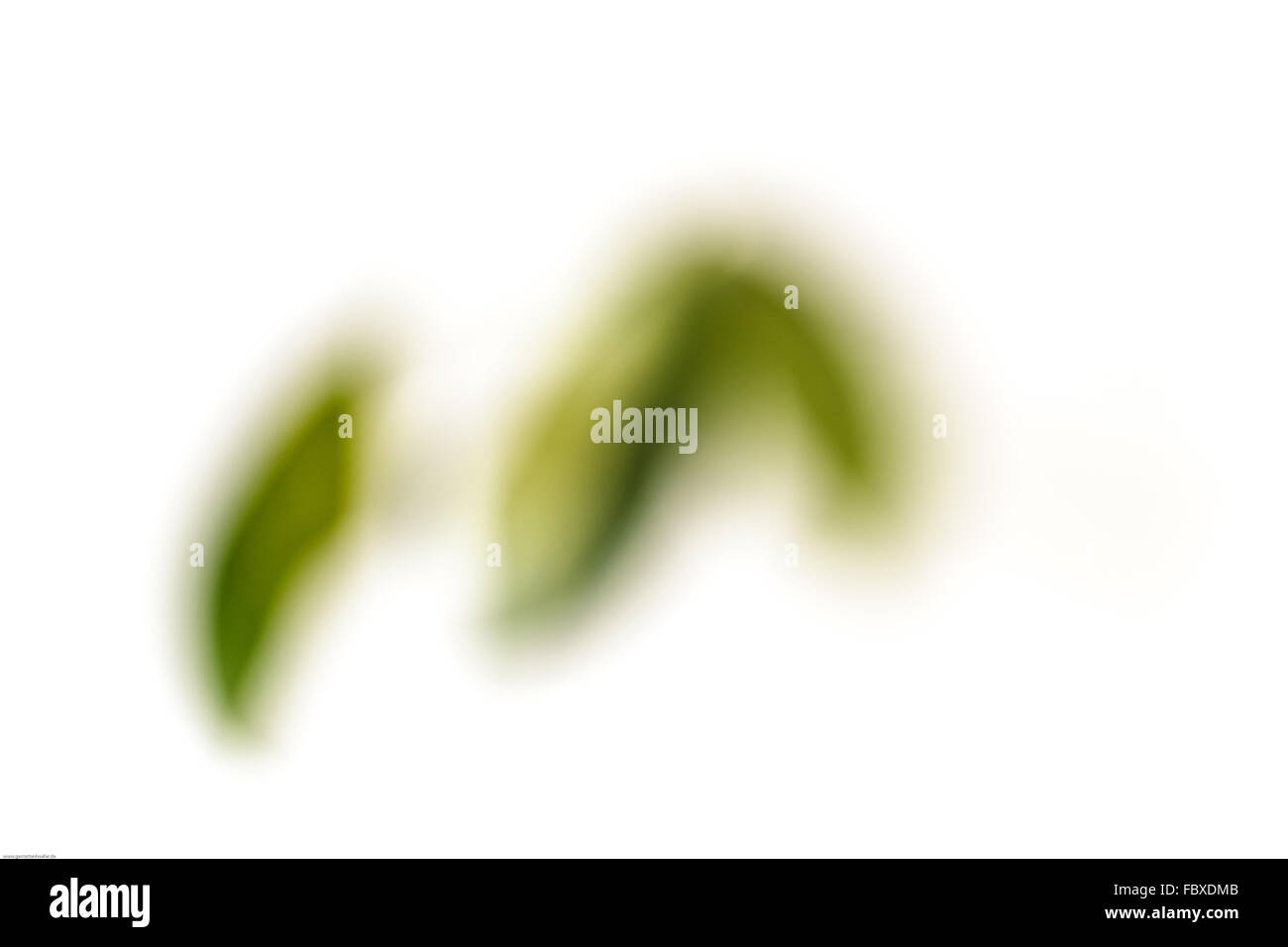 Colors and nature hi-res stock photography and images - Alamy