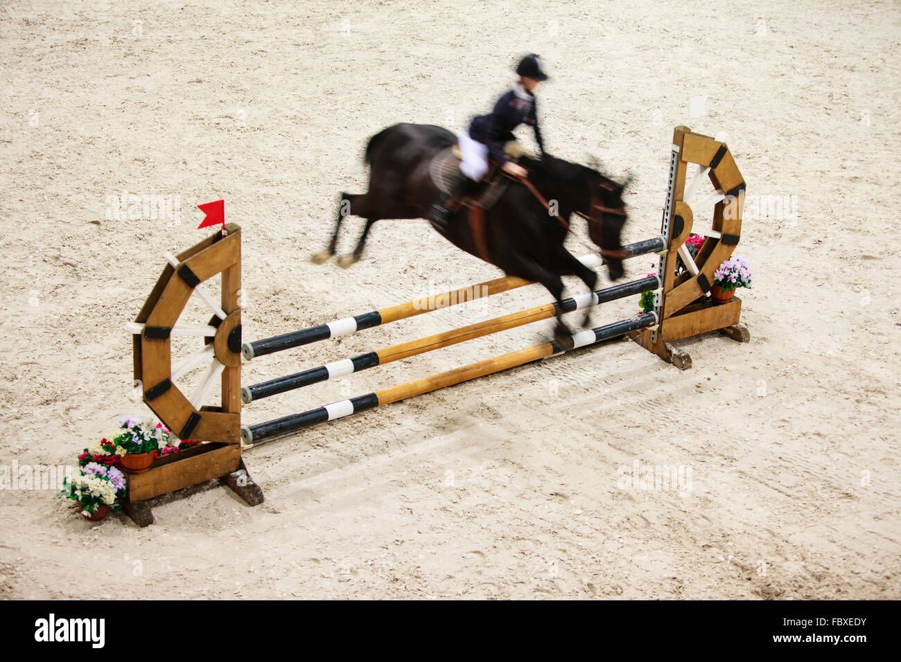 Black horse jump log hi-res stock photography and images - Alamy